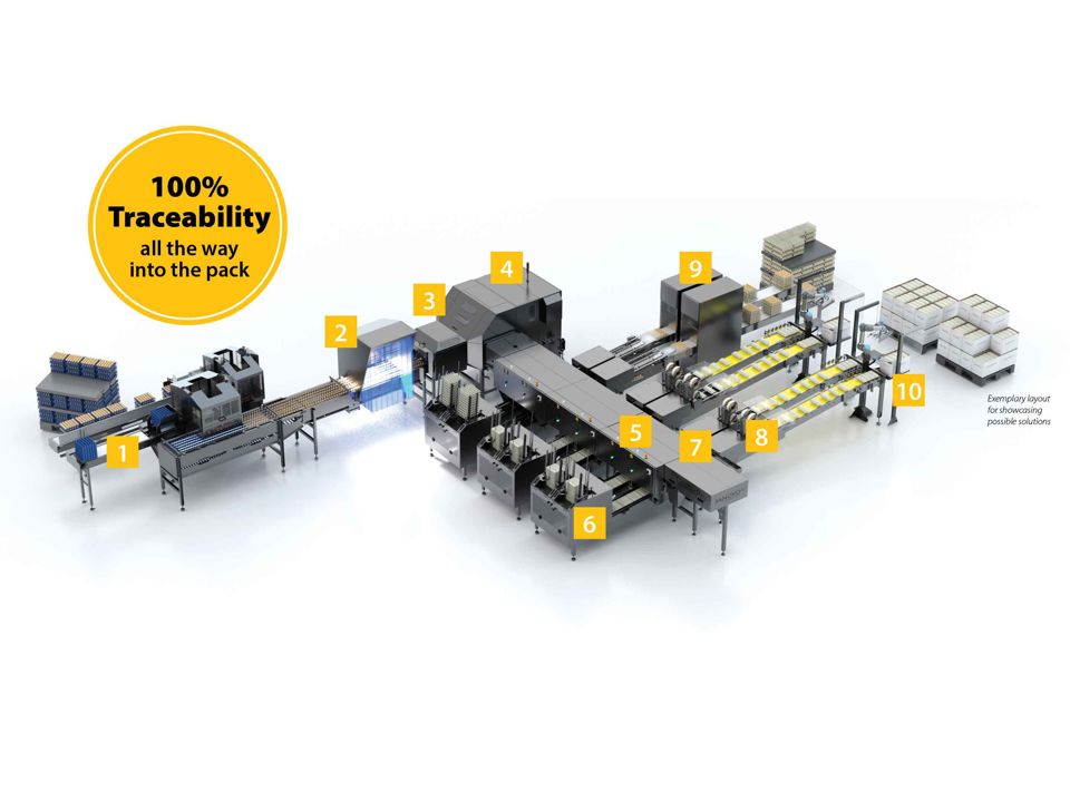 Small Egg Grading Machine | Affordable & Efficient Egg Sorting for ...