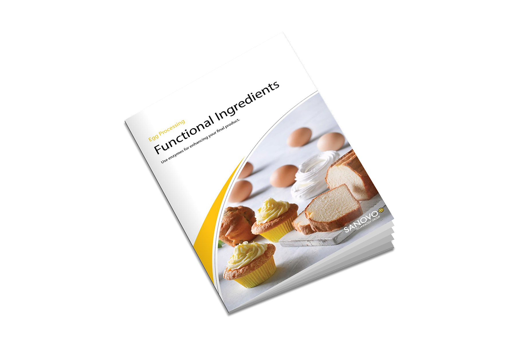 Enhance Egg White Powder Yield with Enzymatic Solutions | SANOVO ...