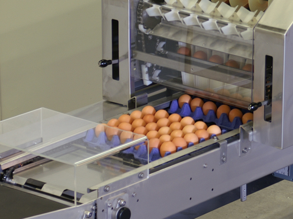 Farm Automation Equipment for Egg Farmers | Optimize Egg Production ...