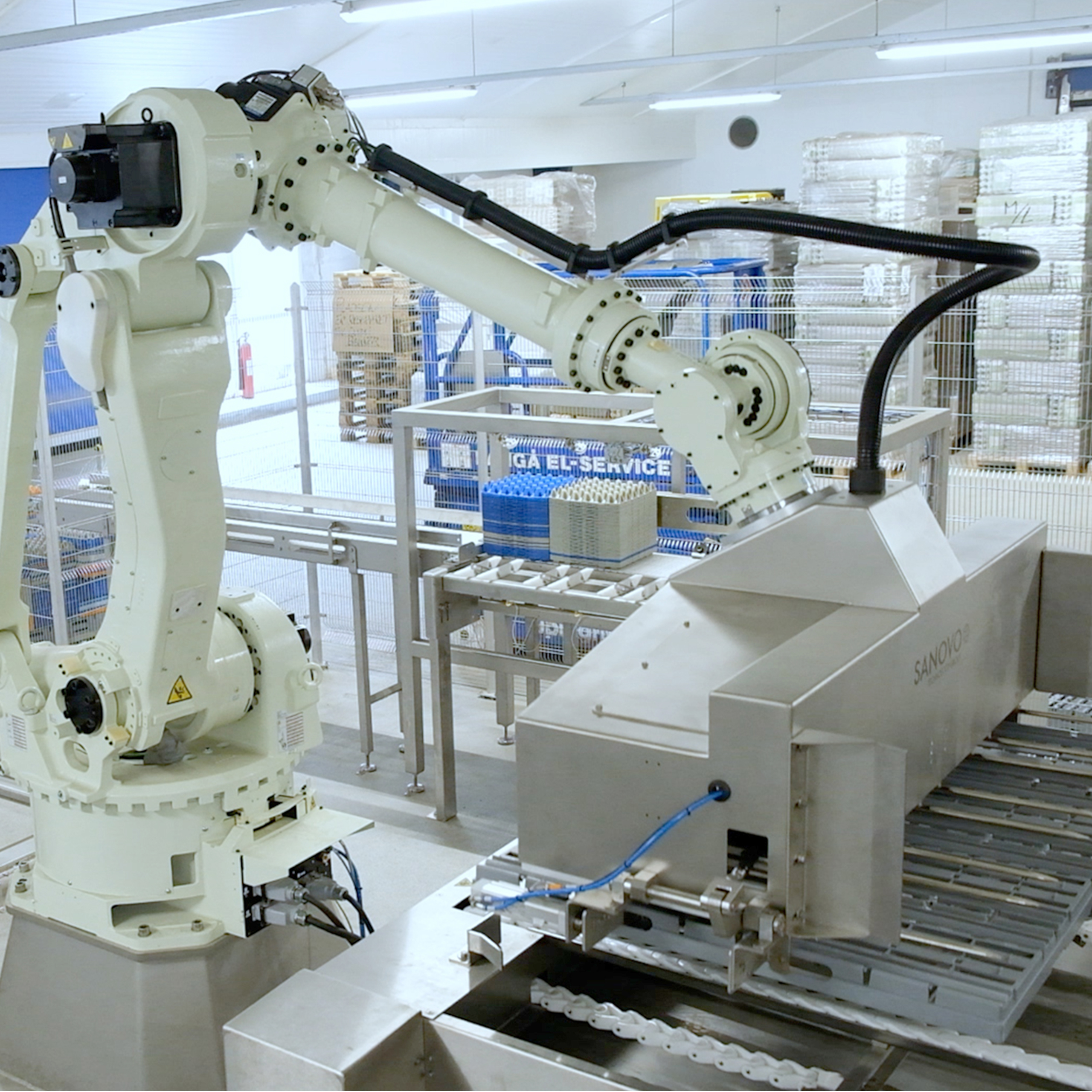 Cargo Palletizer (Egg Pallets)| Automate Pallet and Interlayer Handling ...