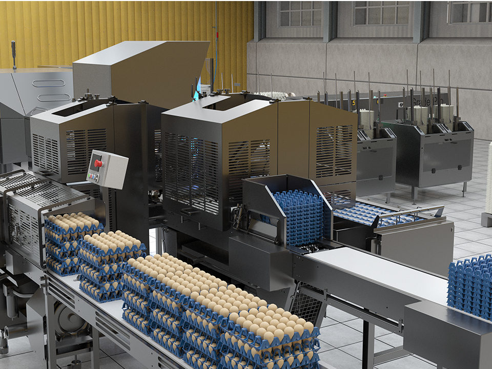 Small Egg Grading Machine | Affordable & Efficient Egg Sorting for Farms | Sanovo Technology