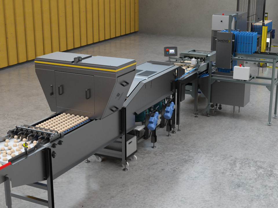 AI Egg Grading on Farms – Automate Quality Control & Sorting | Sanovo ...