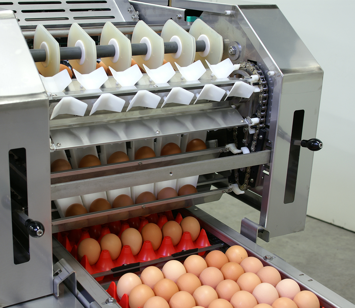 Training for Egg Processing Equipment | SANOVO Experience Center ...