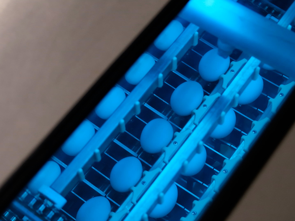 GraderPro 75 - Efficient & Reliable Egg Sorting Solutions | Sanovo ...