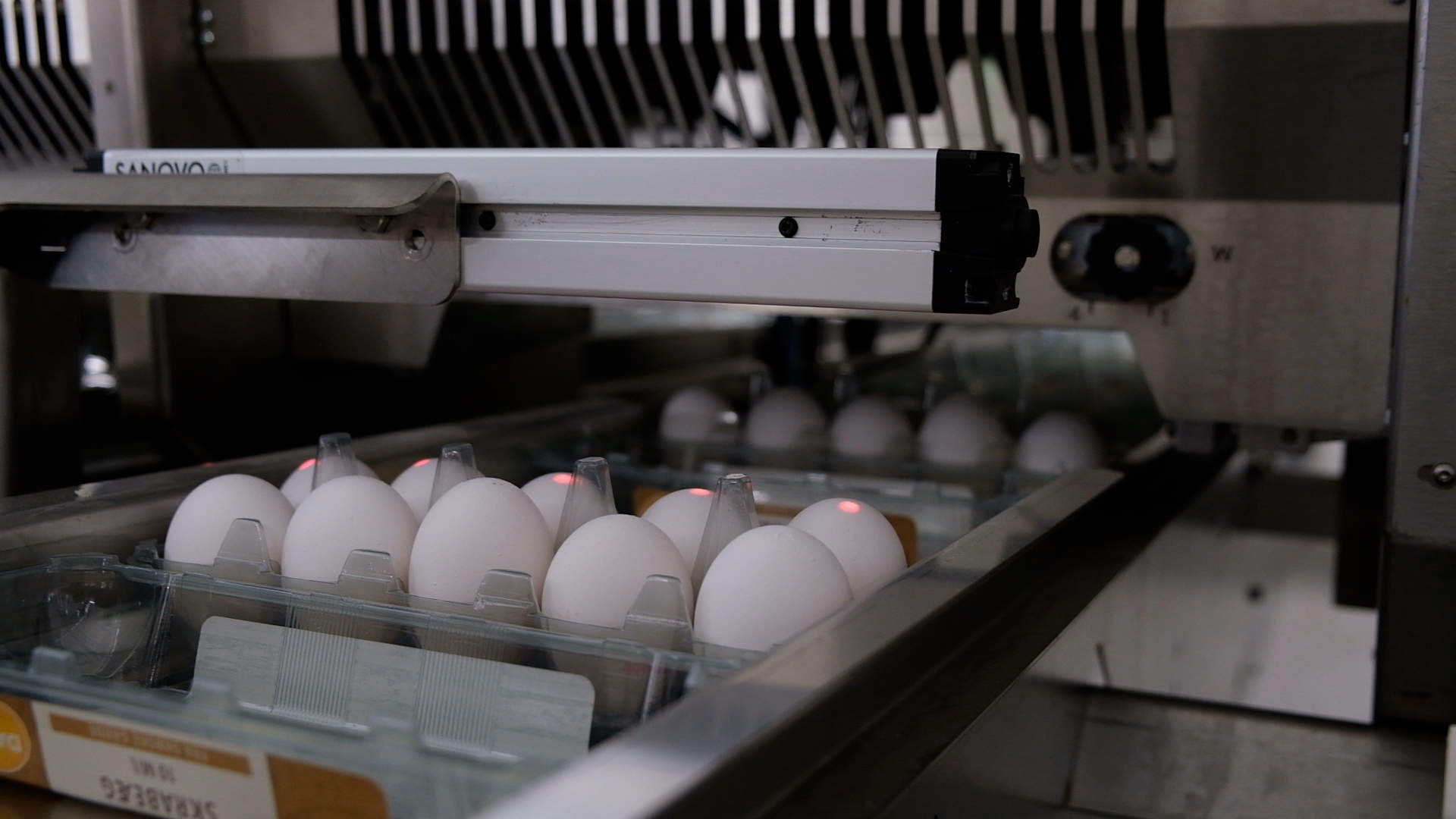 Revolutionary Egg Grading Machine: Grade 54,000 Eggs per Hour with Ease ...
