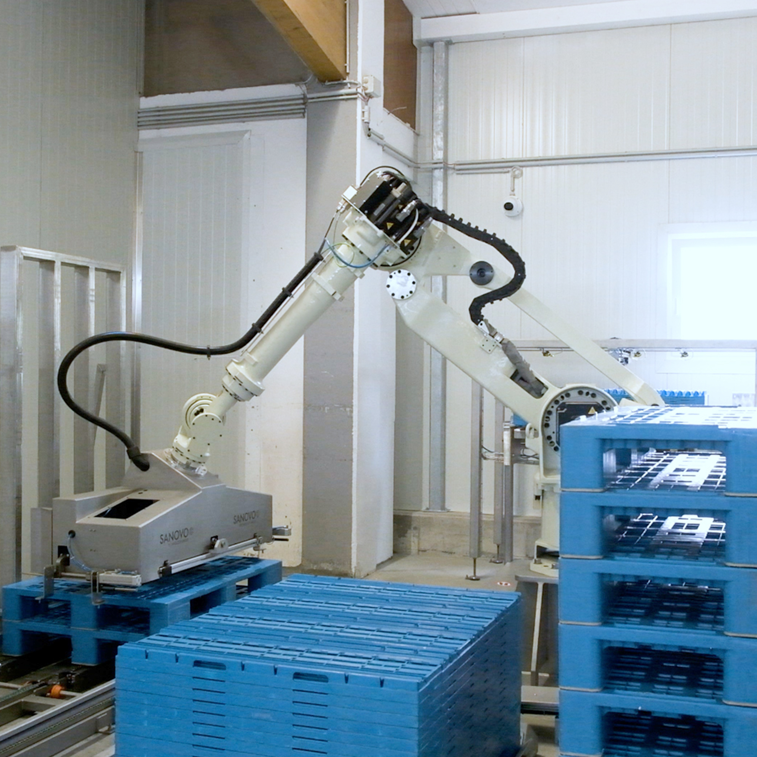 Cargo Palletizer (Egg Pallets)| Automate Pallet and Interlayer Handling ...