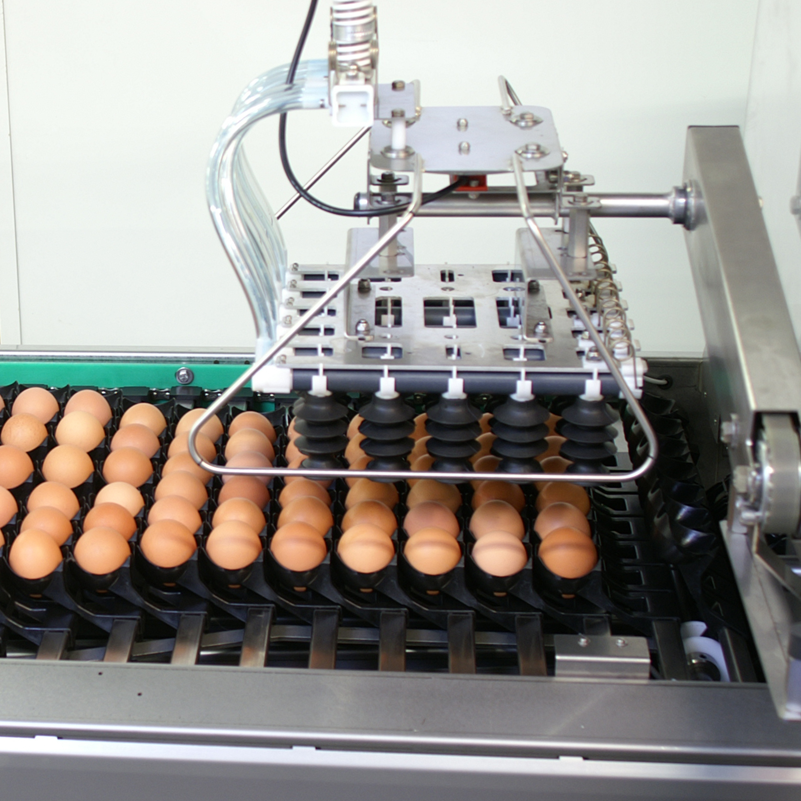 Farmpacker 24000 | Gentle and Flexible Egg Packing Solution | Sanovo ...