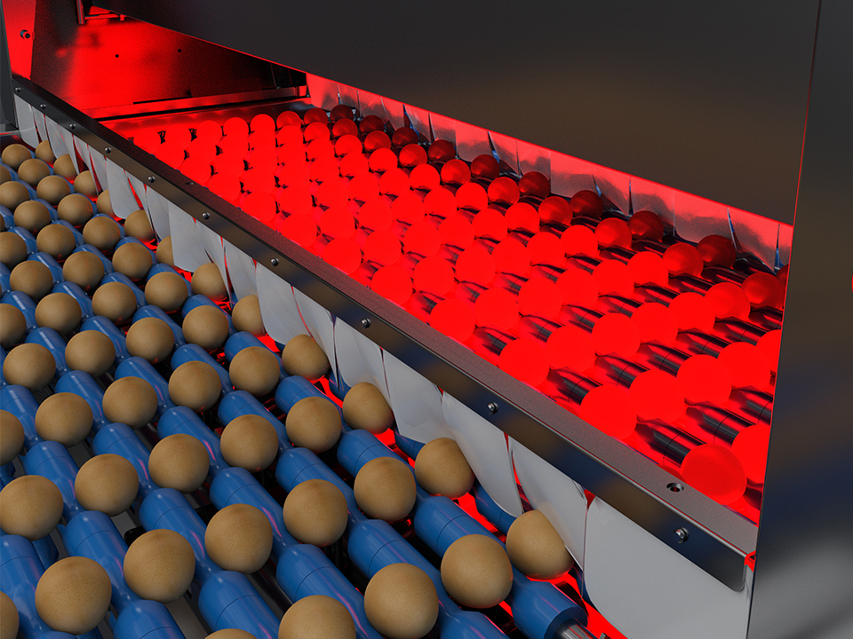 Visual Egg Crack Detection Technology! | Sanovo Technology