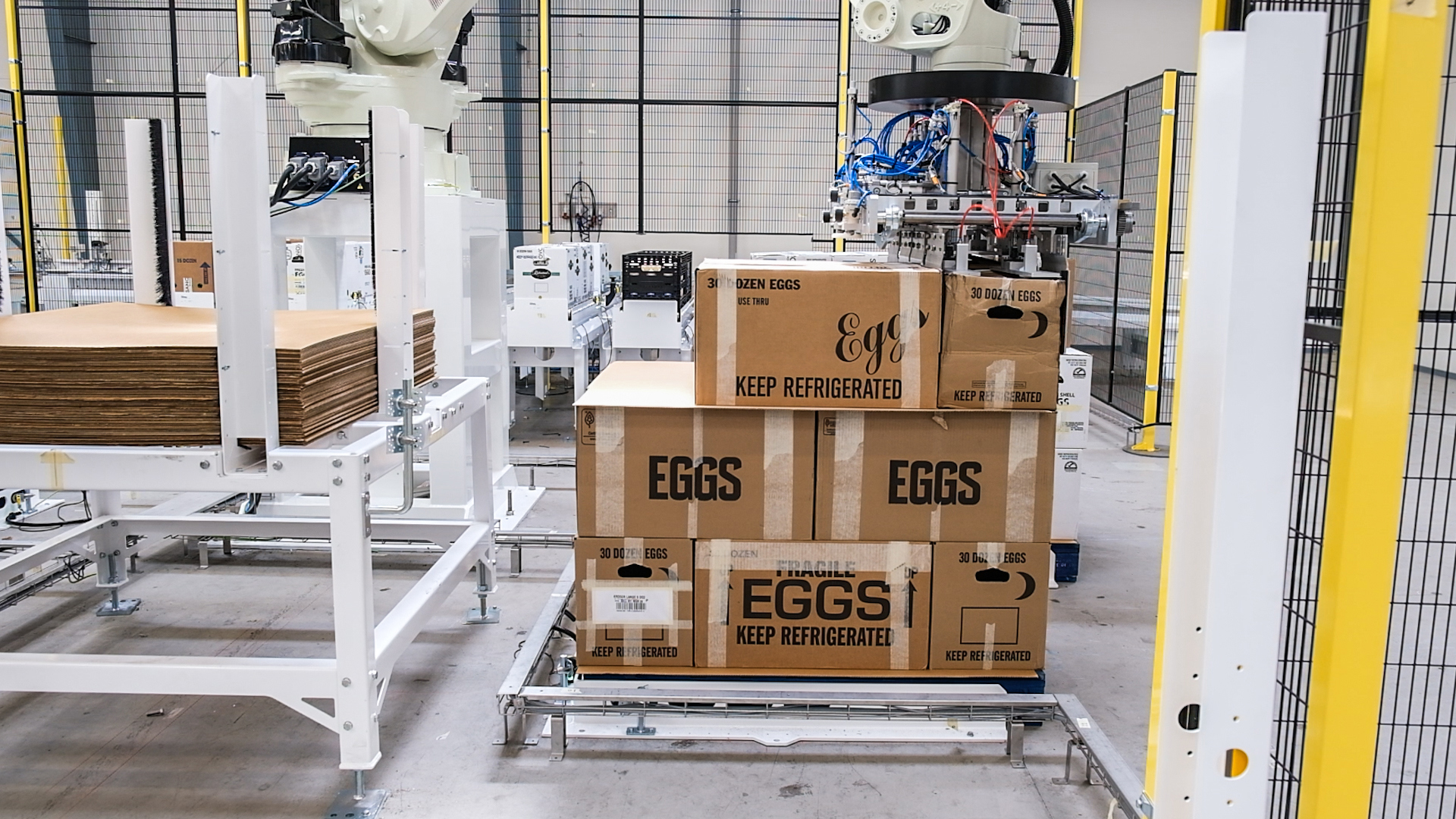 Case Palletizer para huevos | Solución robótica de alta velocidad para ...